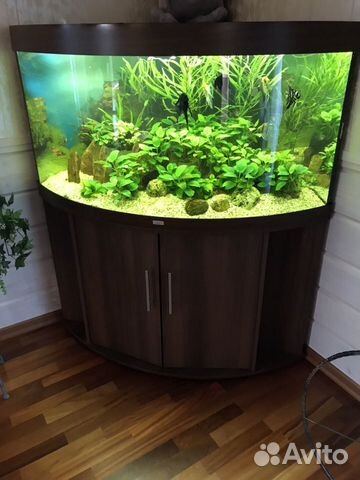 Аквариум Juwel Trigon 350 LED