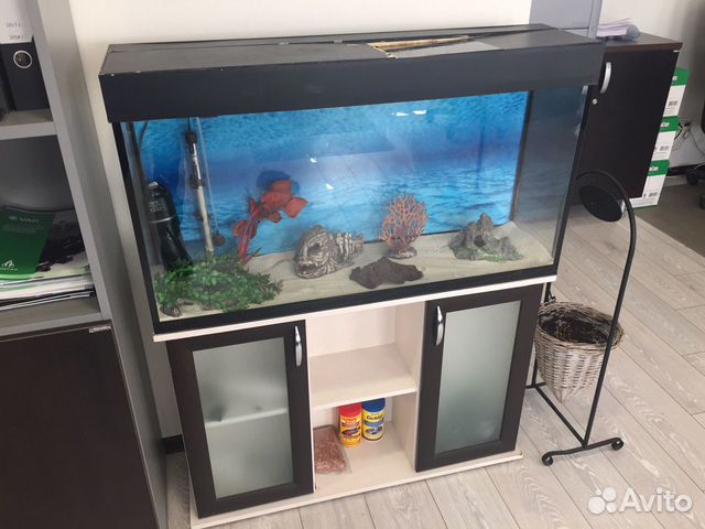 Аквариум 100х55х25 (120 литров)