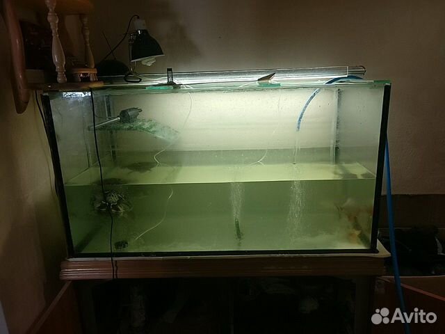 Аквариум 340 литров с тумбой, оборудованием и паку