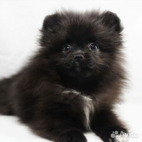 Чёрная девочка