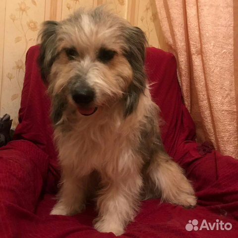 В Добрые,заботливые,ответственные руки