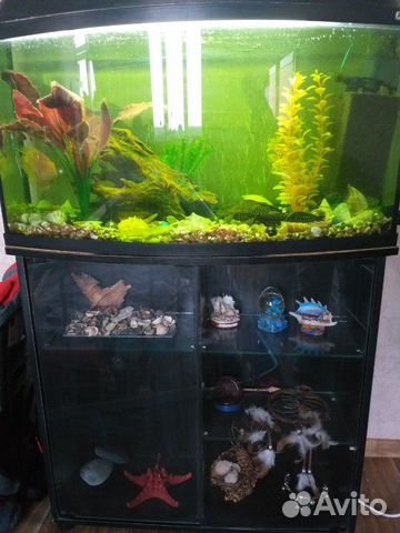 Аквариум Pearl aquael 102 л