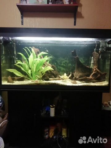 Аквариум