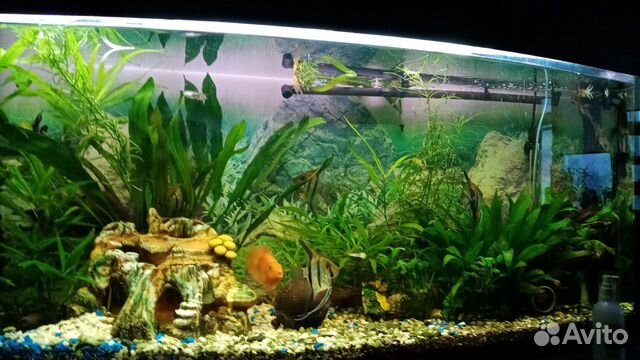 Аквариум 300 л