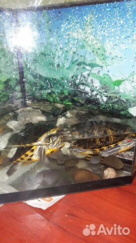 Новогодний подарок вам и вашим деткам