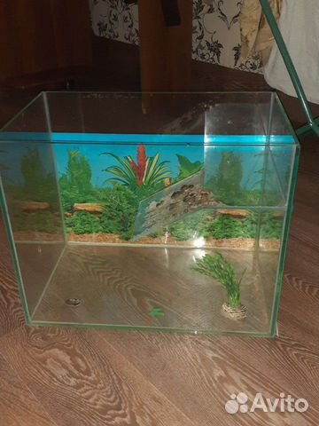 Аквариум