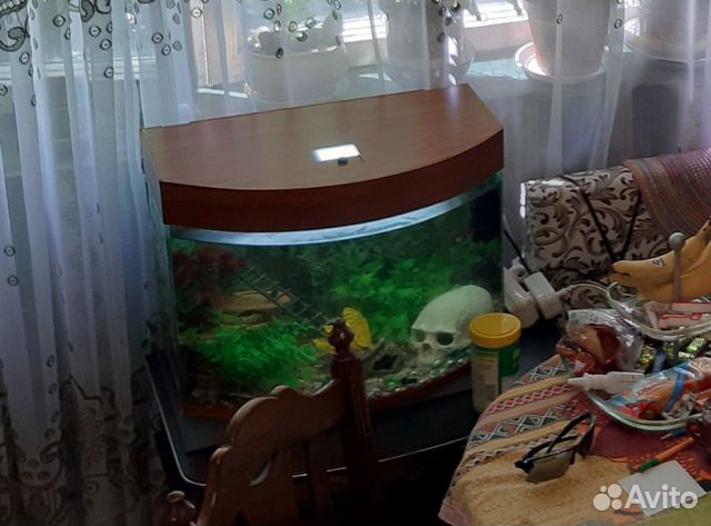 Аквариум 55 литров панорамный