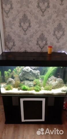 Аквариум 200л