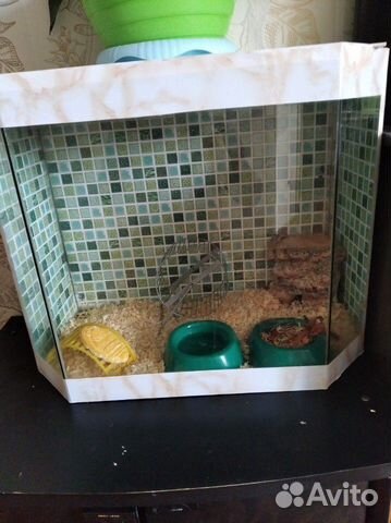 Террариум+хомячки