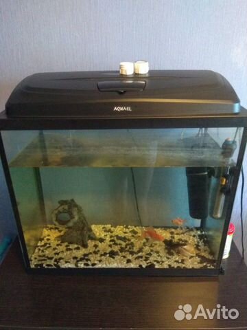 Аквариум
