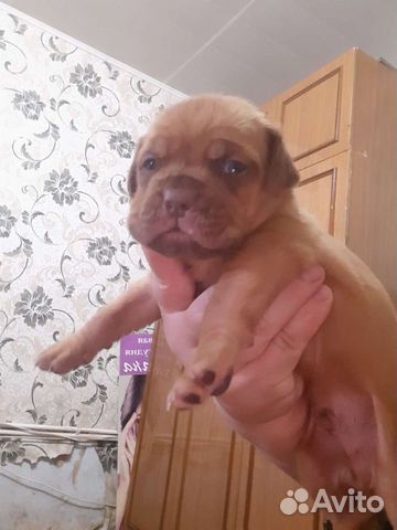 Лучик солнца