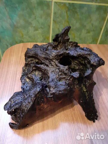 Коряга мангровая