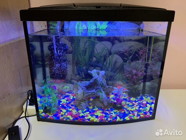Аквариум 25л с барбусами