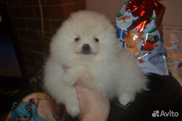 Прекрасная Белоснежка