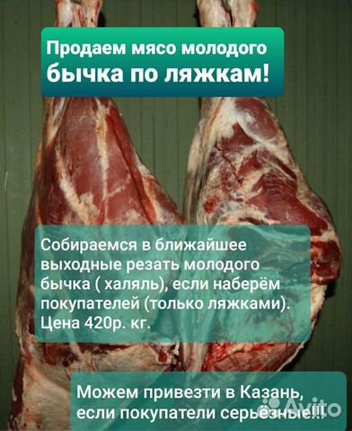 Бычки и быки на мясо
