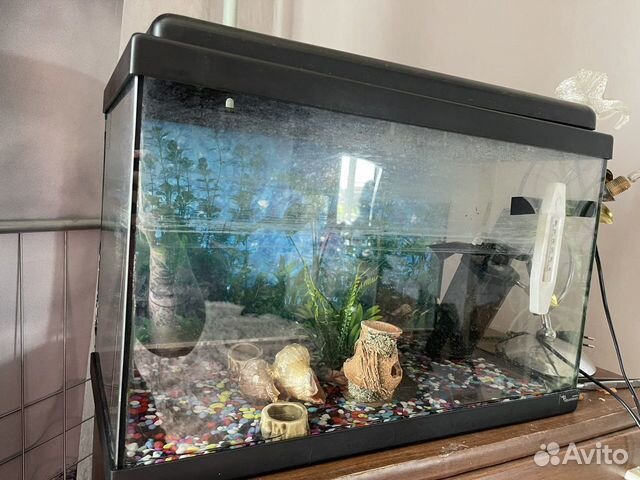 Аквариум 40 литров