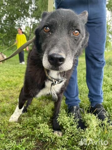 Умирает за решёткой