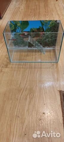 Аквариум для красноухой черепахи