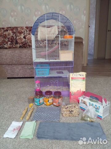 Клетка и крысы