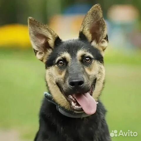 Сиятельный Граф желает познакомиться