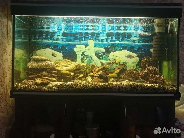 Аквариум