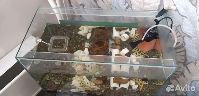 Аквариум с морскими рыбками