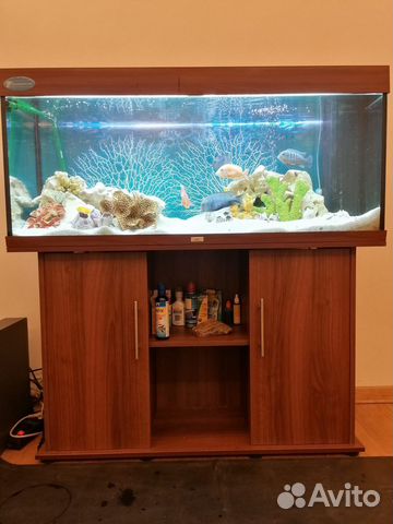 Аквариум 240 л с тумбой и аксессуарами