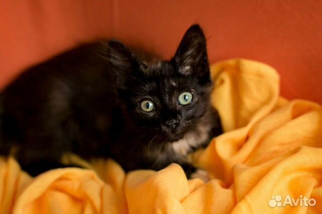 Крутая малышка