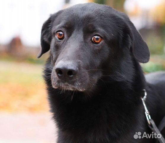 Дастин вас ждёт
