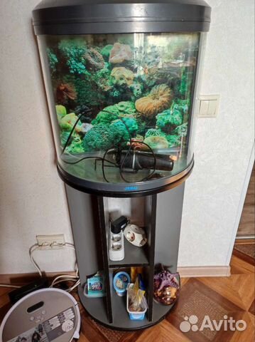 Аквариум для рыб